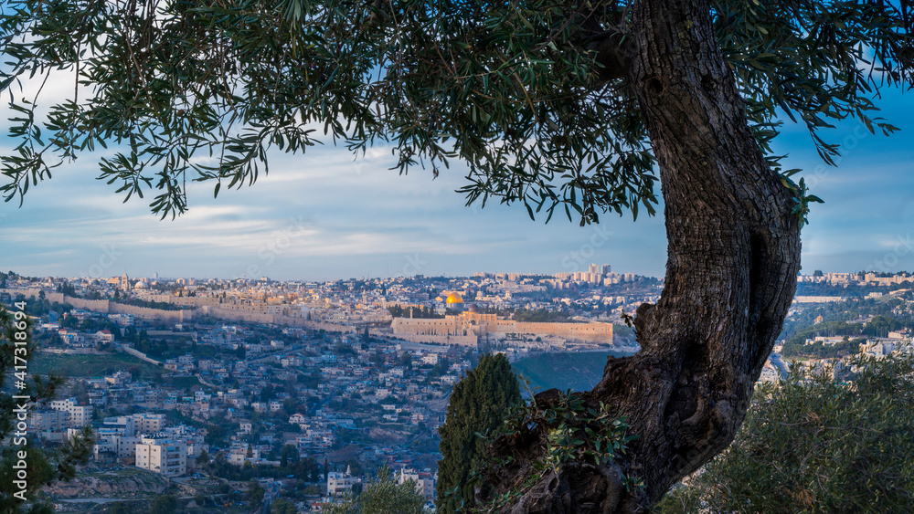 Foto de Beautiful sunlit view from an olive tree on Sherover Promenade ...