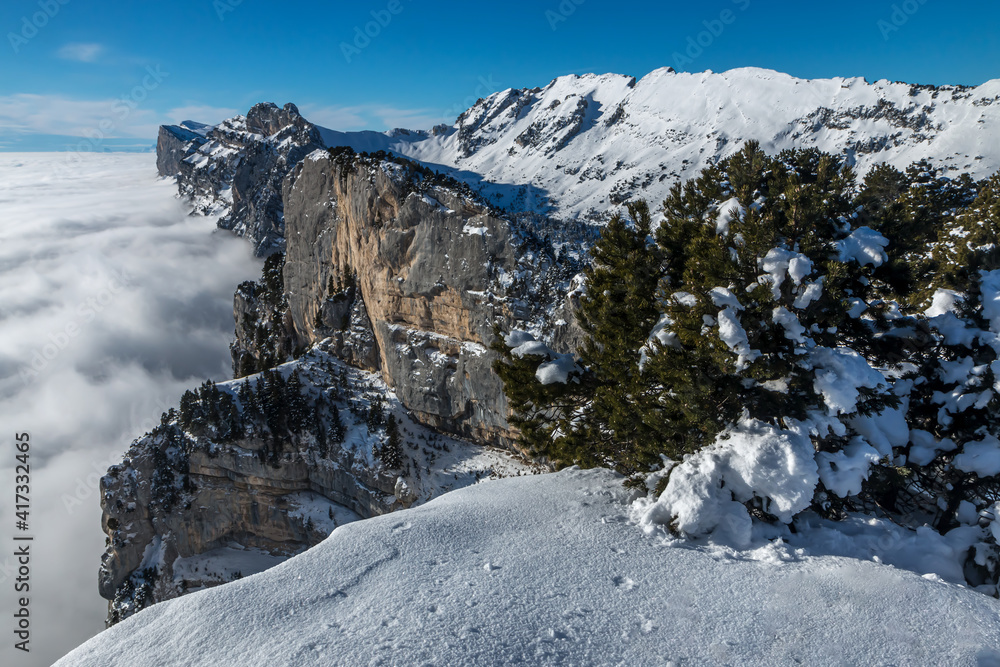 Paysage du Massif de la Chartreuse en hiver à l' Aulp du Seuil , Isère ...