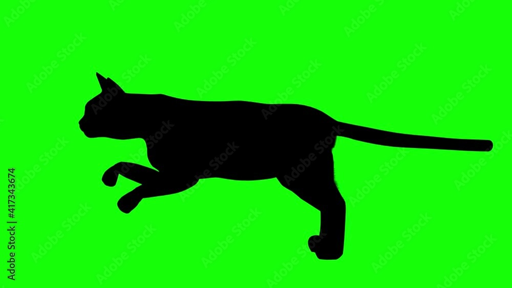 Silhouette of a cat running, on green screen, side view. Animal ...