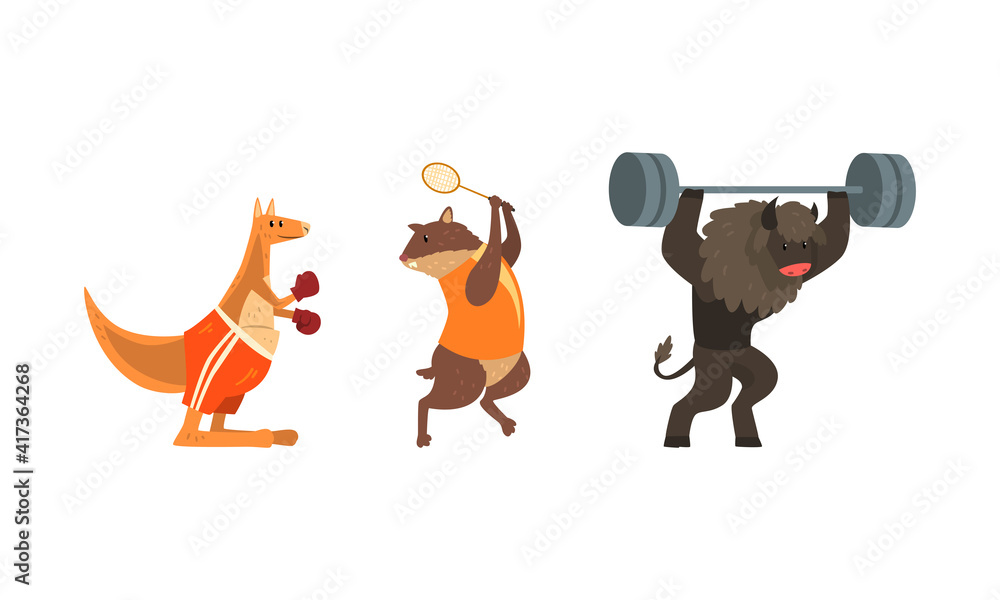 Bull Exercising with Barbell, Marmot Playing Tennis, Kangaroo Boxing ...