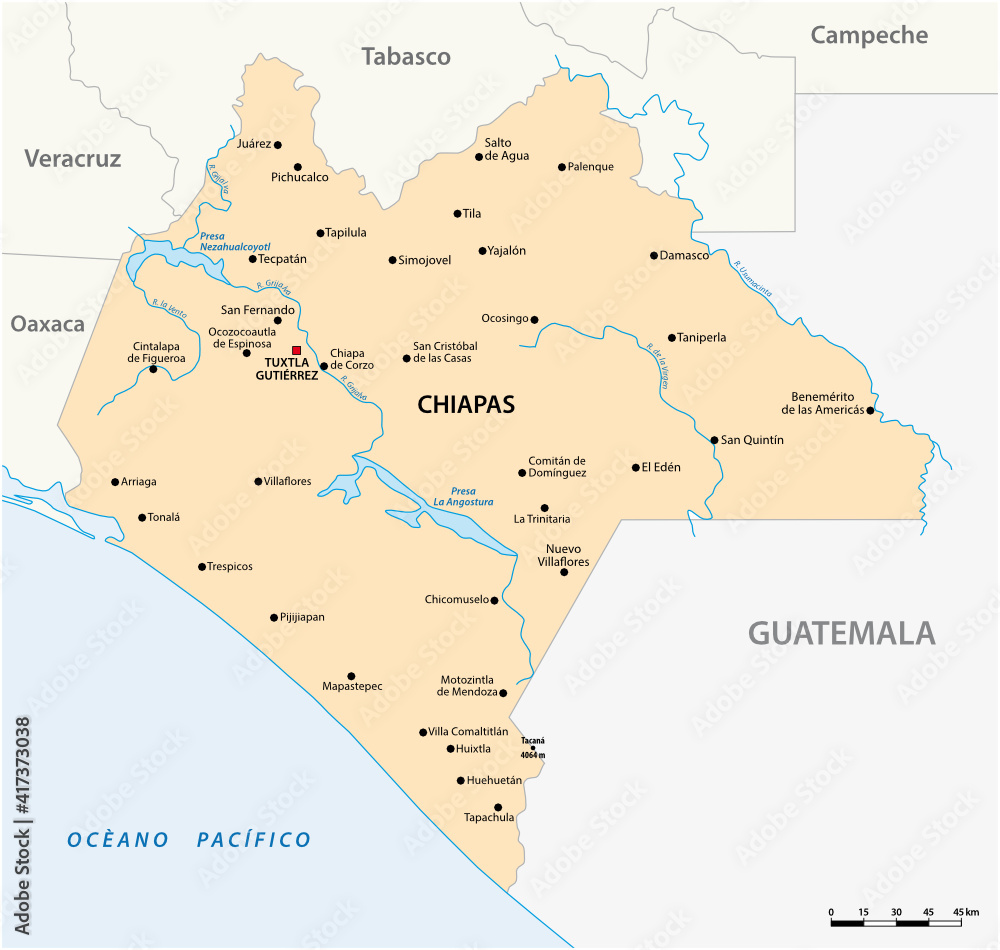 vector map of the Mexican state of Chiapas Stock Vector | Adobe Stock