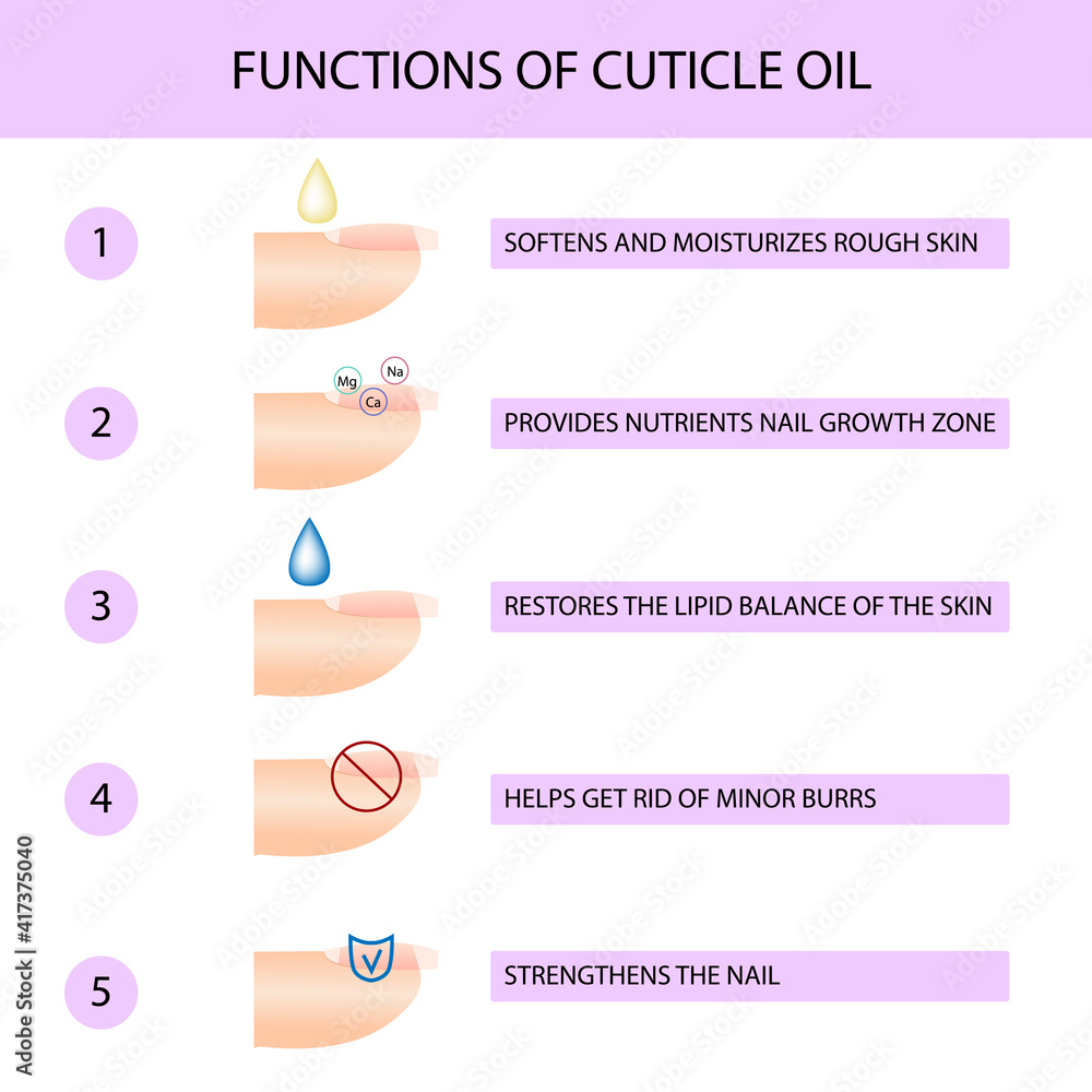 Why use cuticle oil. Professional manicure guide, Vector illustration ...