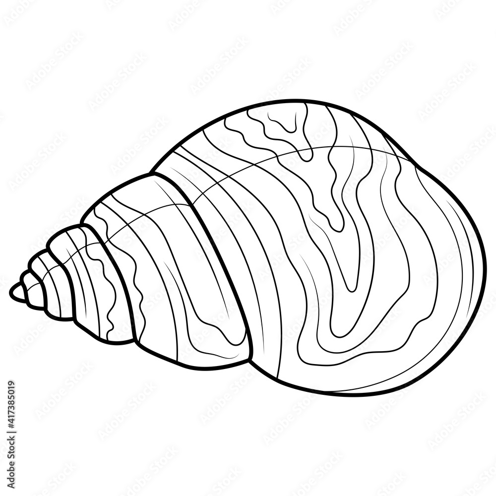 Sea shell.Coloring book antistress for children and adults ...