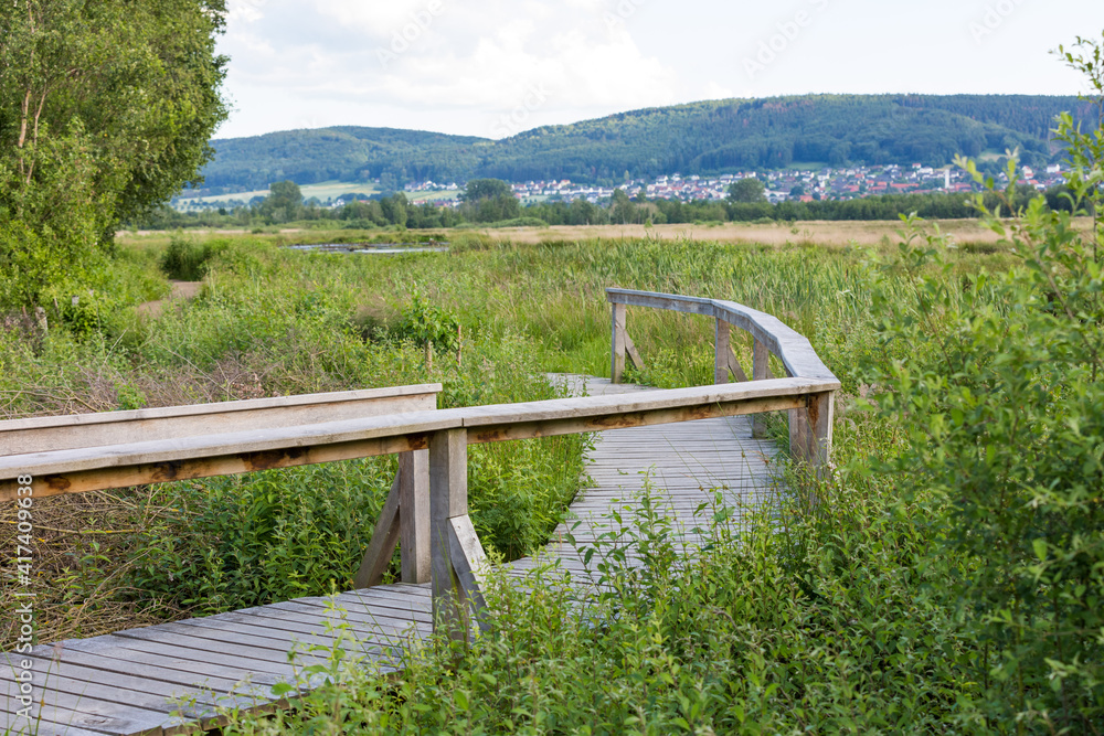 Wanderweg im Hiller Torfmoor, Gemeinde Hille, Norddeutschland Stock ...