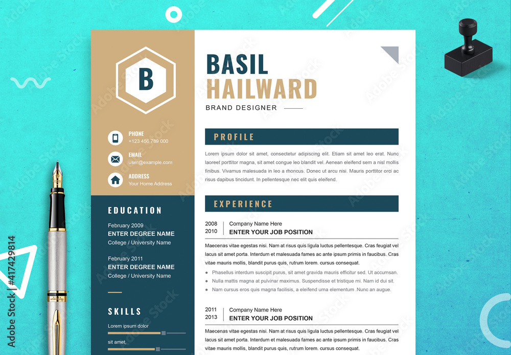 Professional CV, Resume Layout Stock Template | Adobe Stock