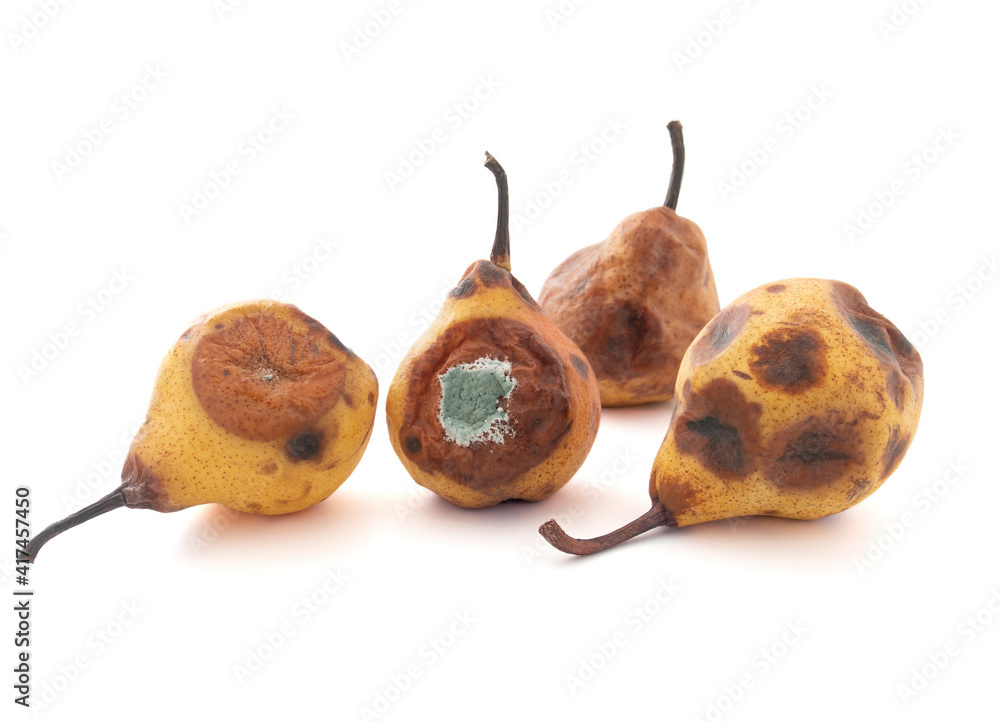 Four rotten pears with fungus and pressure marks isolated on white ...