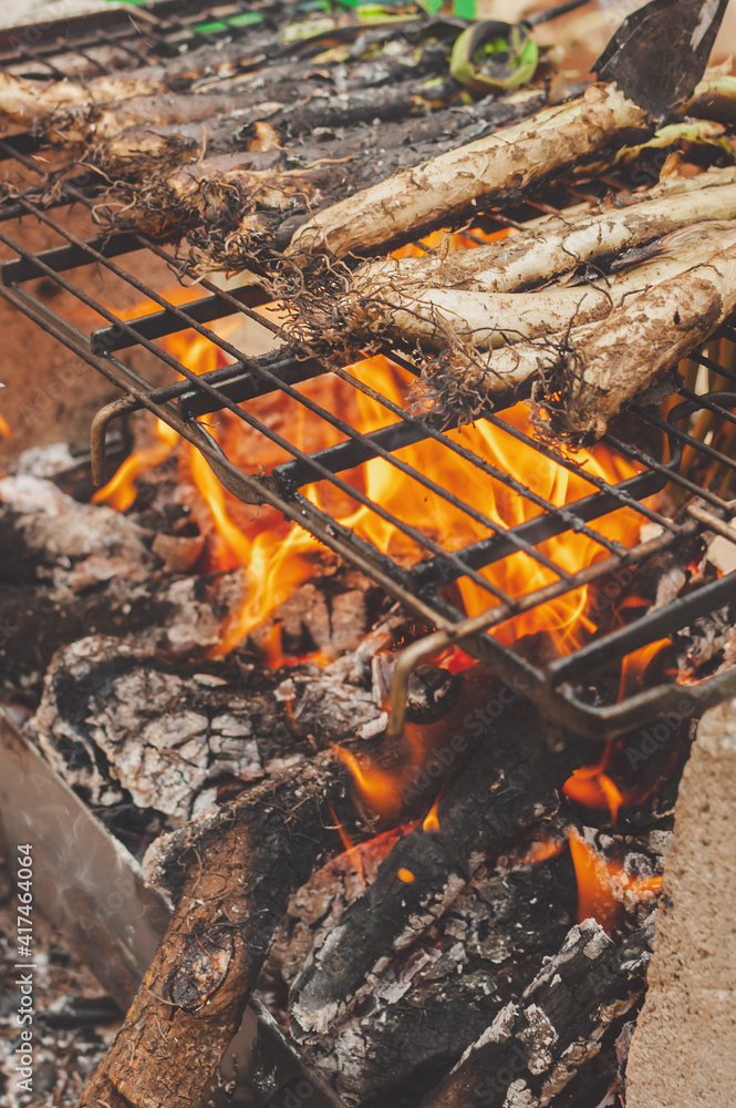 Calçots, a young Catalan onion. In spring, when the cold goes away, we ...