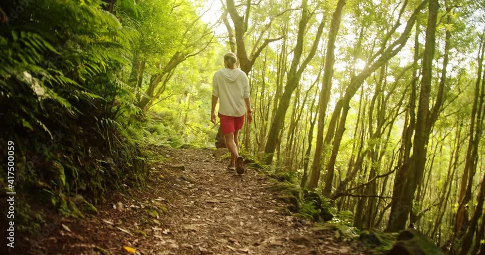 Man in red shorts stroll along a pathway in thick forest. Tourist walks ...