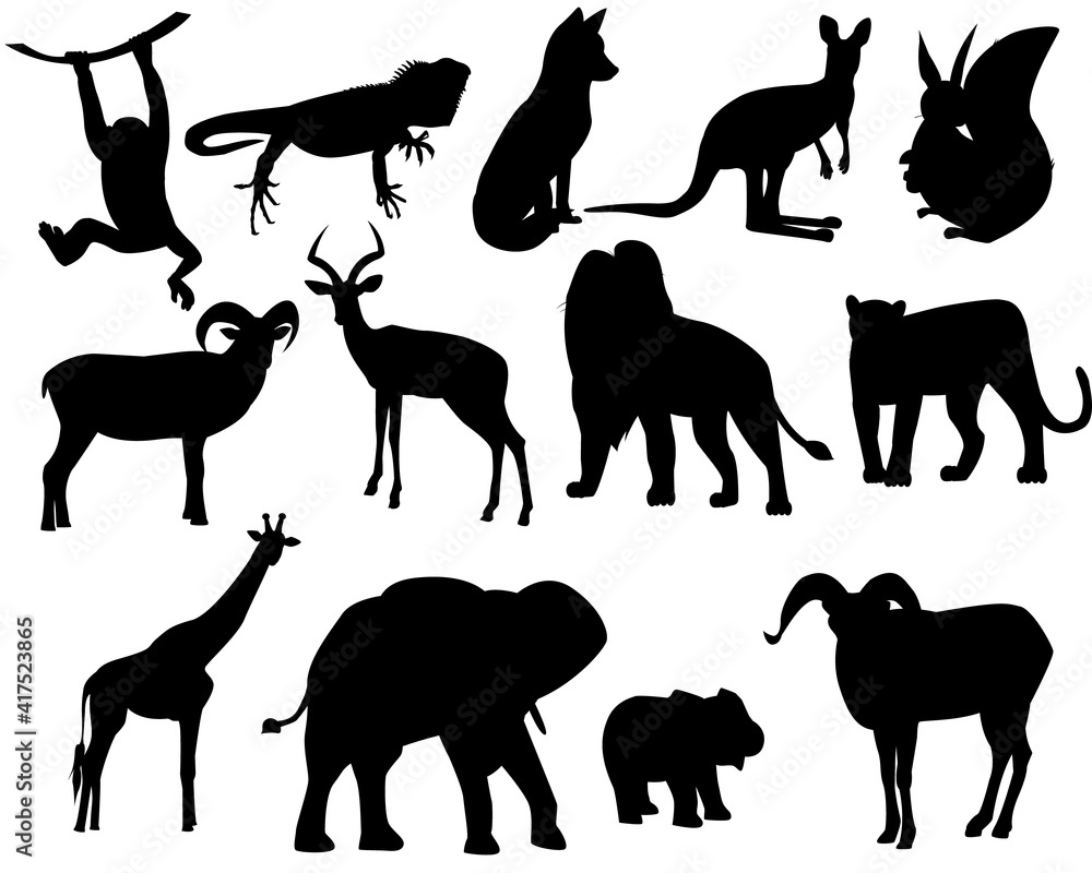 Set of silhouettes of wild animals, zoo. Lion, Elephant, Baby elephant ...