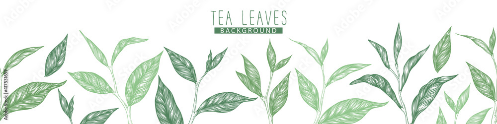 Vector horizontal seamless pattern with green hand drawn tea leaves and ...