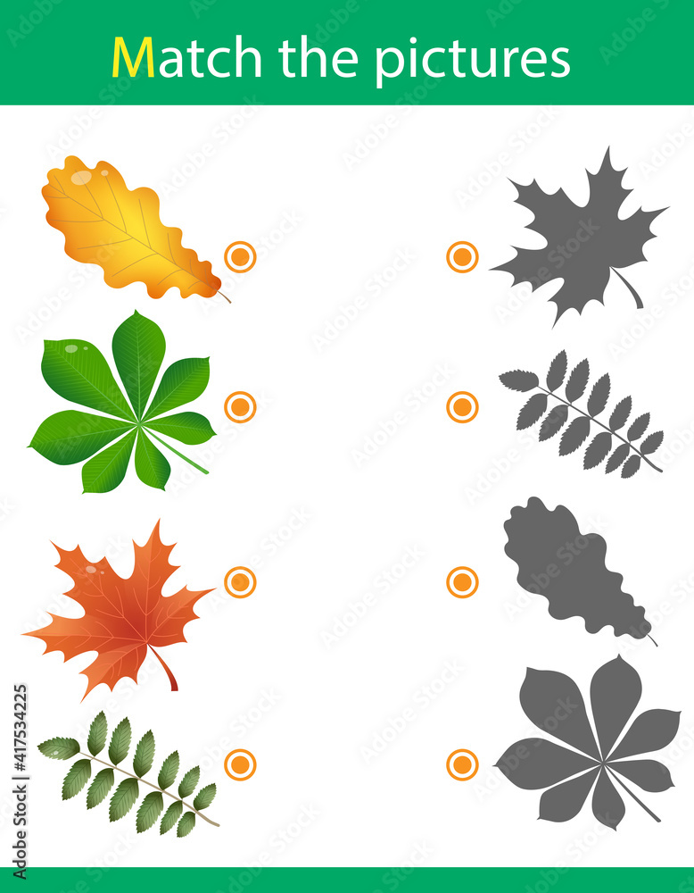 Match the right shadow. Leaves of trees. Leaf of oak, maple, chestnut ...
