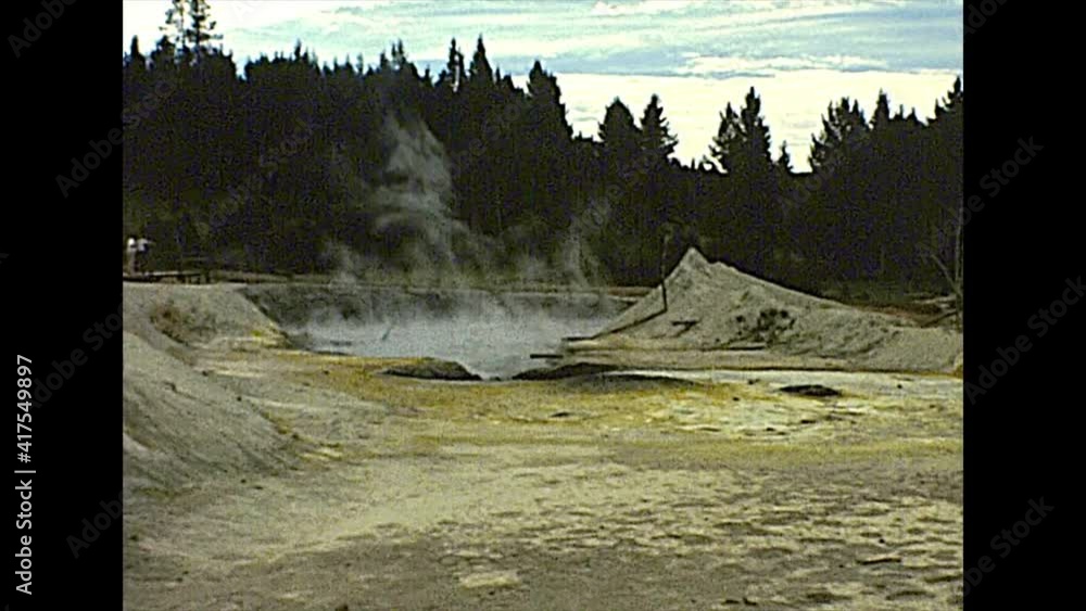Dramatic dead trees pools of Hot Springs, Yellowstone National Park ...