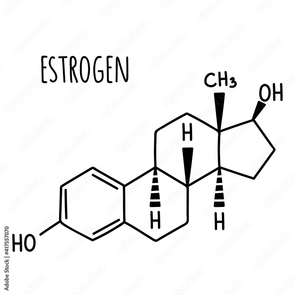 Molecular structural chemical formula of hormone estrogen. Vector hand ...