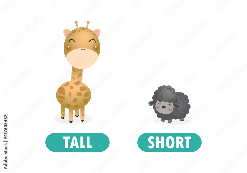 Opposite tall and short, Words antonym for children with cartoon ...