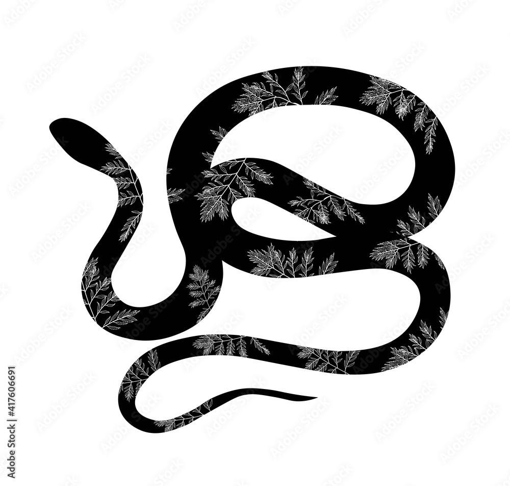 Snake silhouette illustration. Black snake isolated on white background ...