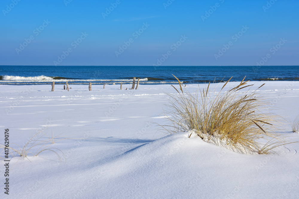 Winter Beach Snow