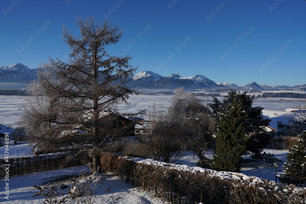 Hopfensee im Winter und Neuschwanstein! Stock Photo | Adobe Stock