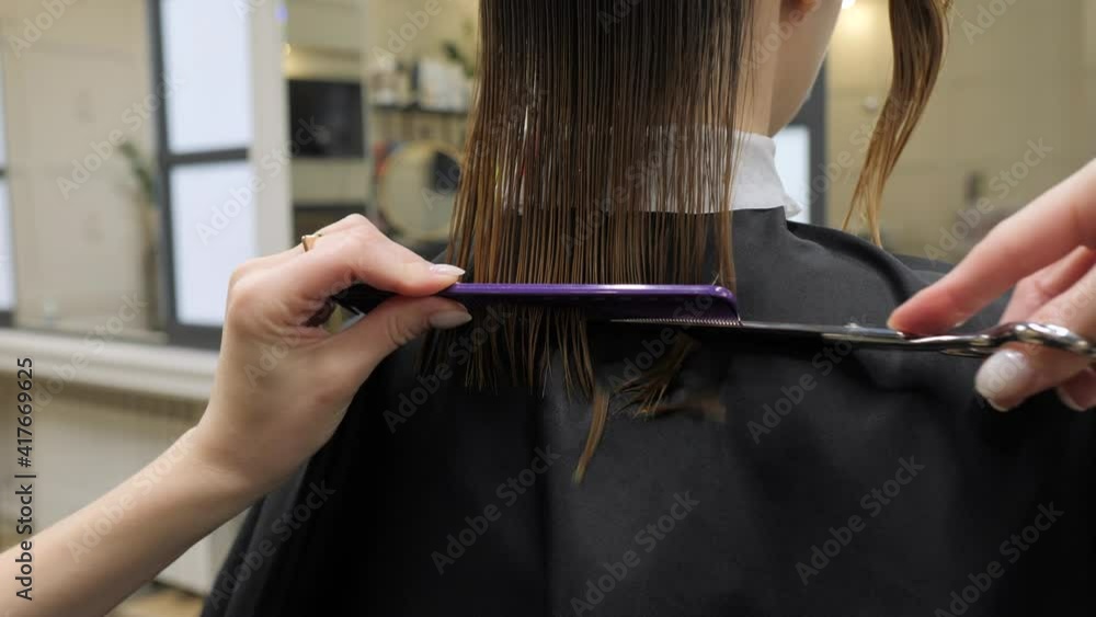 Hairdresser cuts clients hair using comb and scissors. Back view ...