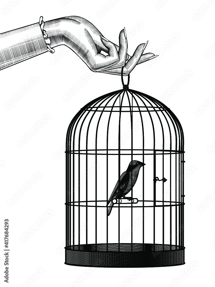 Vintage Birdcage Drawing