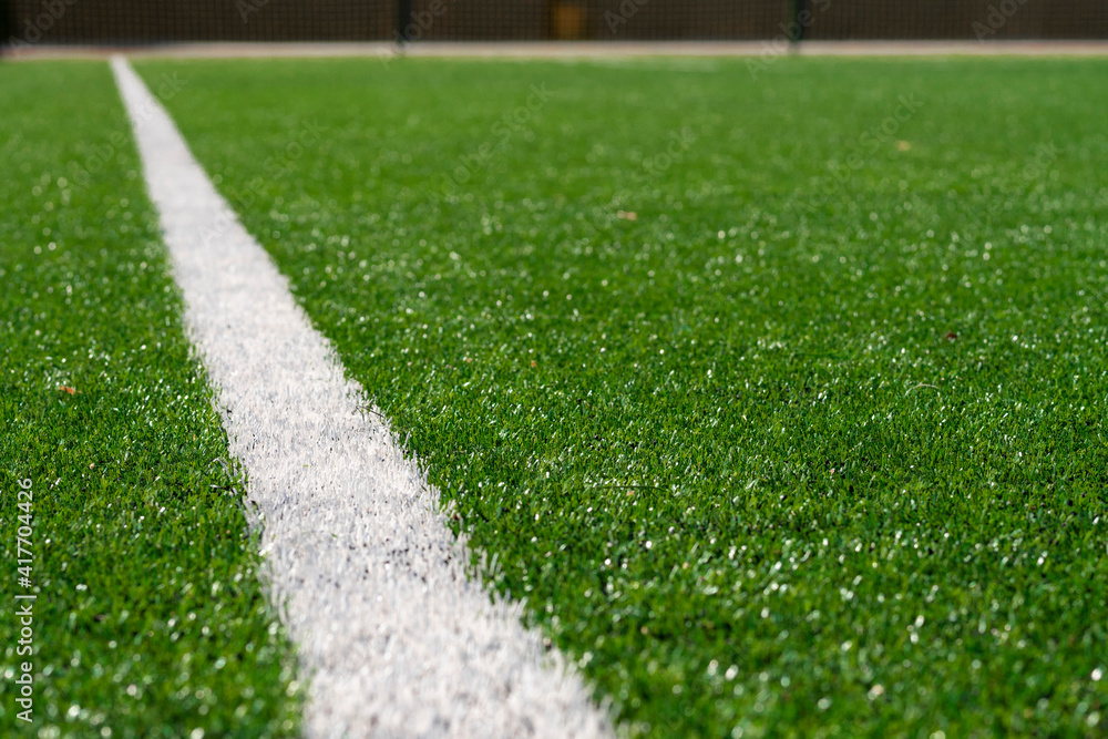soccer field markings. Soccer, football field. Lines on football ...