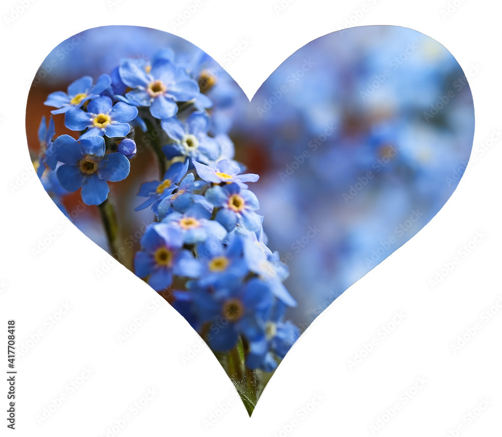 Forget Me Not Flower Heart