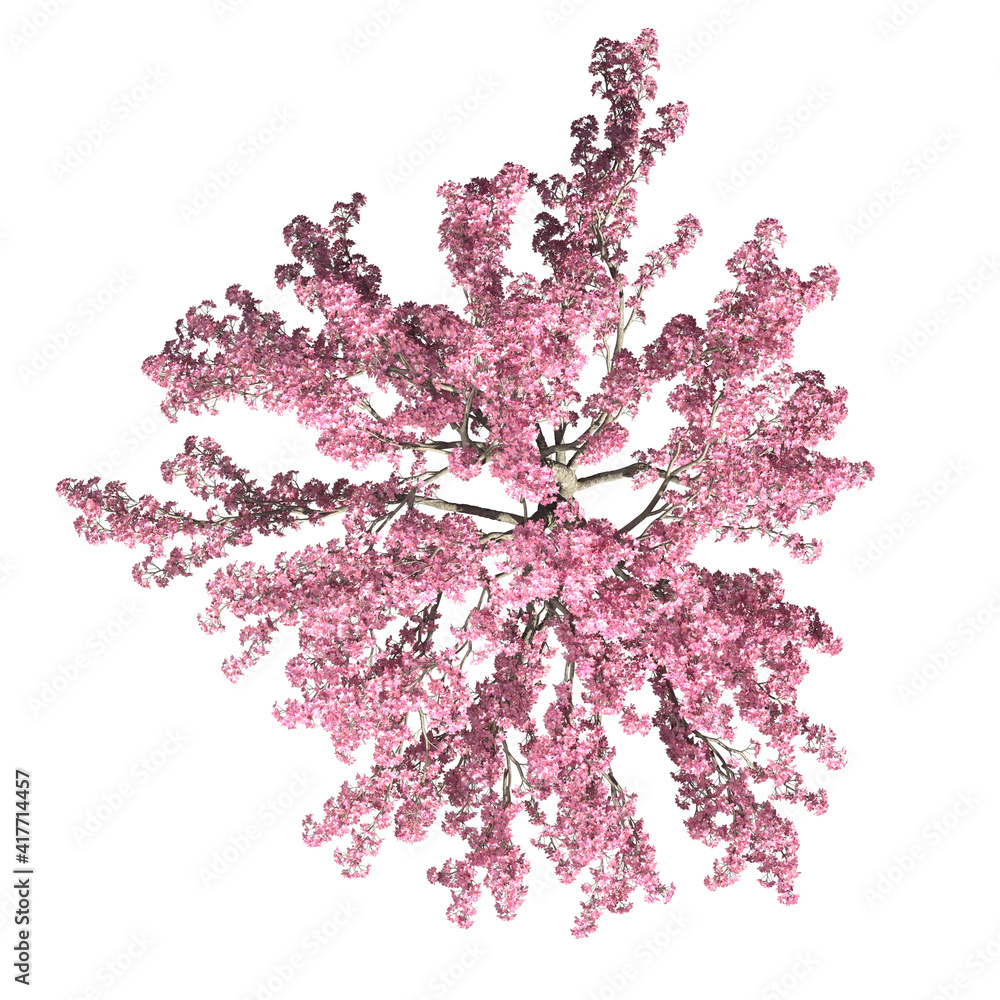 VEGETATION TOP VIEW - TREES AND BUSHES IN PLAN Stock Illustration ...