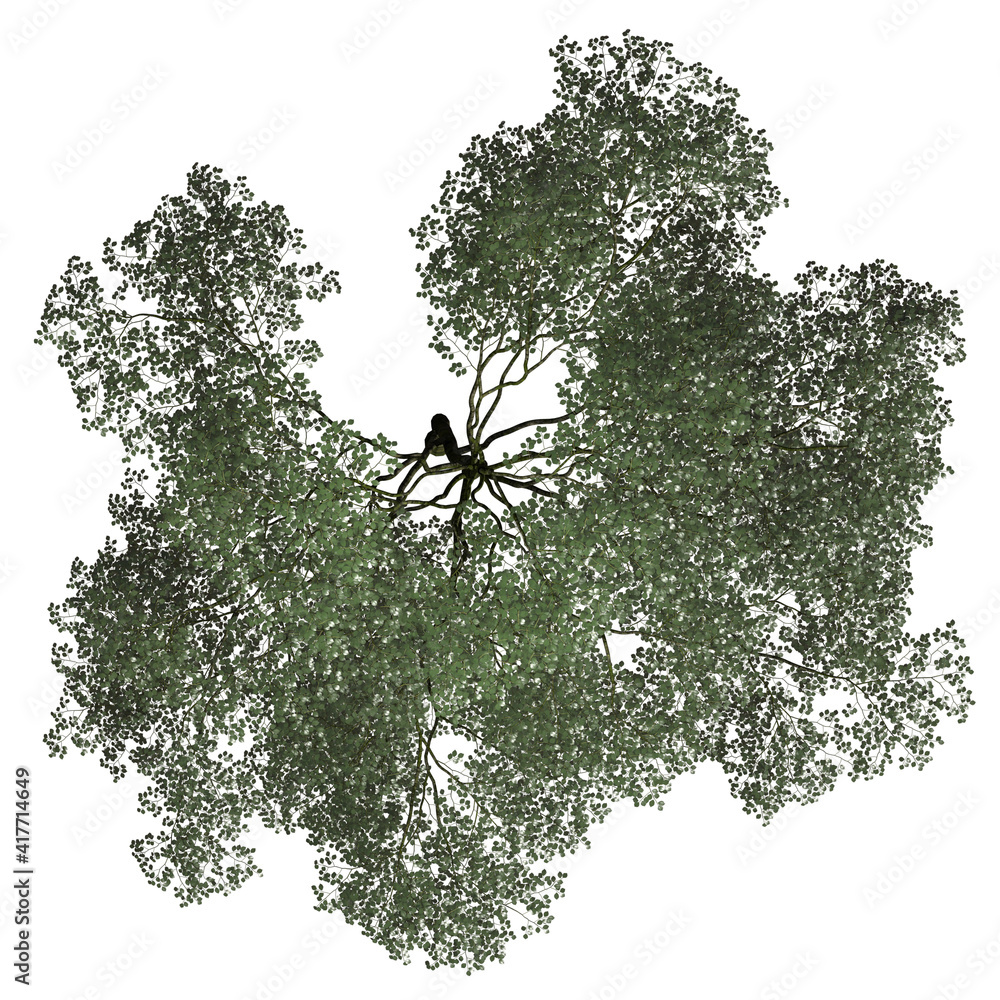 VEGETATION TOP VIEW - TREES AND BUSHES IN PLAN Stock Illustration ...