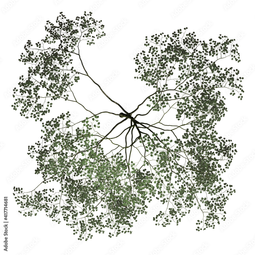 VEGETATION TOP VIEW - TREES AND BUSHES IN PLAN Stock Illustration ...