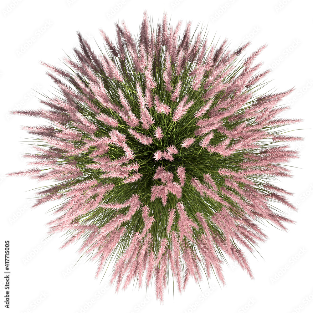 VEGETATION TOP VIEW - TREES AND BUSHES IN PLAN Stock Illustration ...