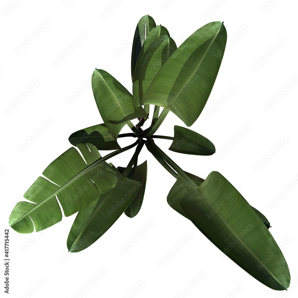 VEGETATION TOP VIEW - TREES AND BUSHES IN PLAN Stock Illustration ...