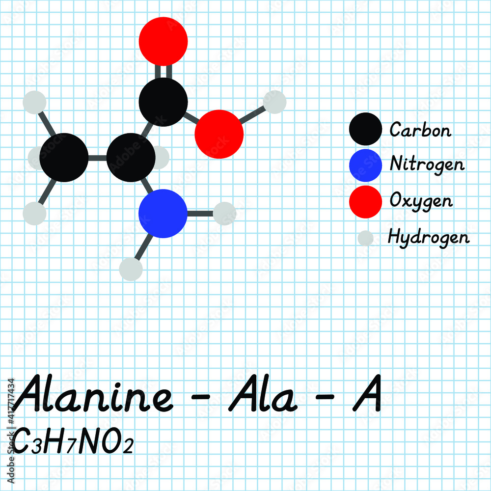 Alanine - Ala - A - Amino Acid molecular formula and chemical structure ...