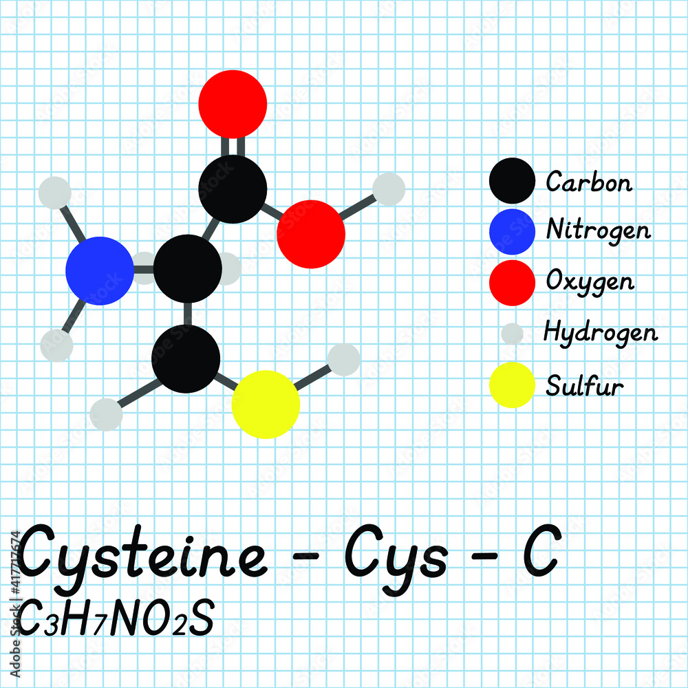 Cysteine - Cys - C - Amino Acid molecular formula and chemical ...