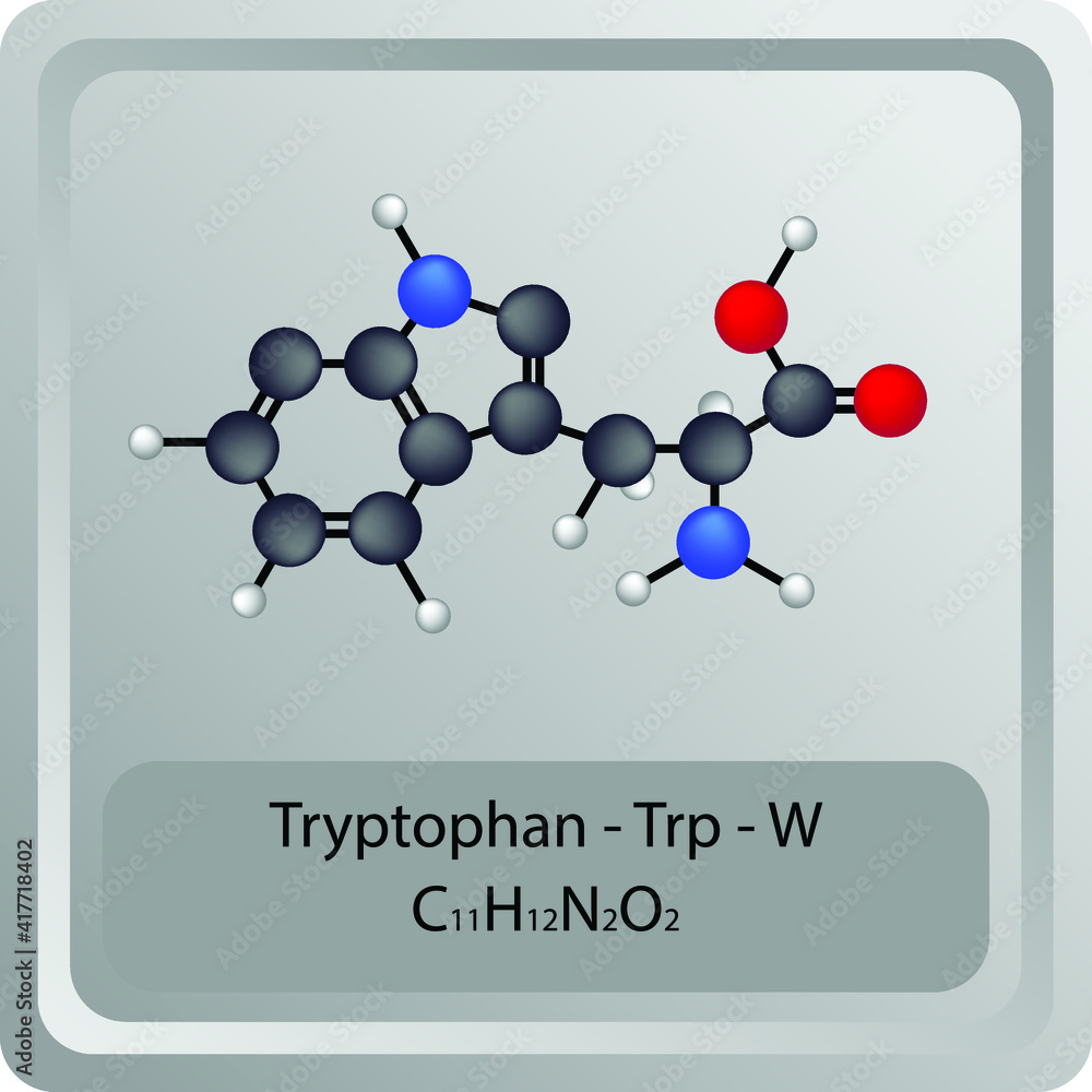 Tryptophan - Trp - W - Amino Acid chemical structure. Molecular formula ...