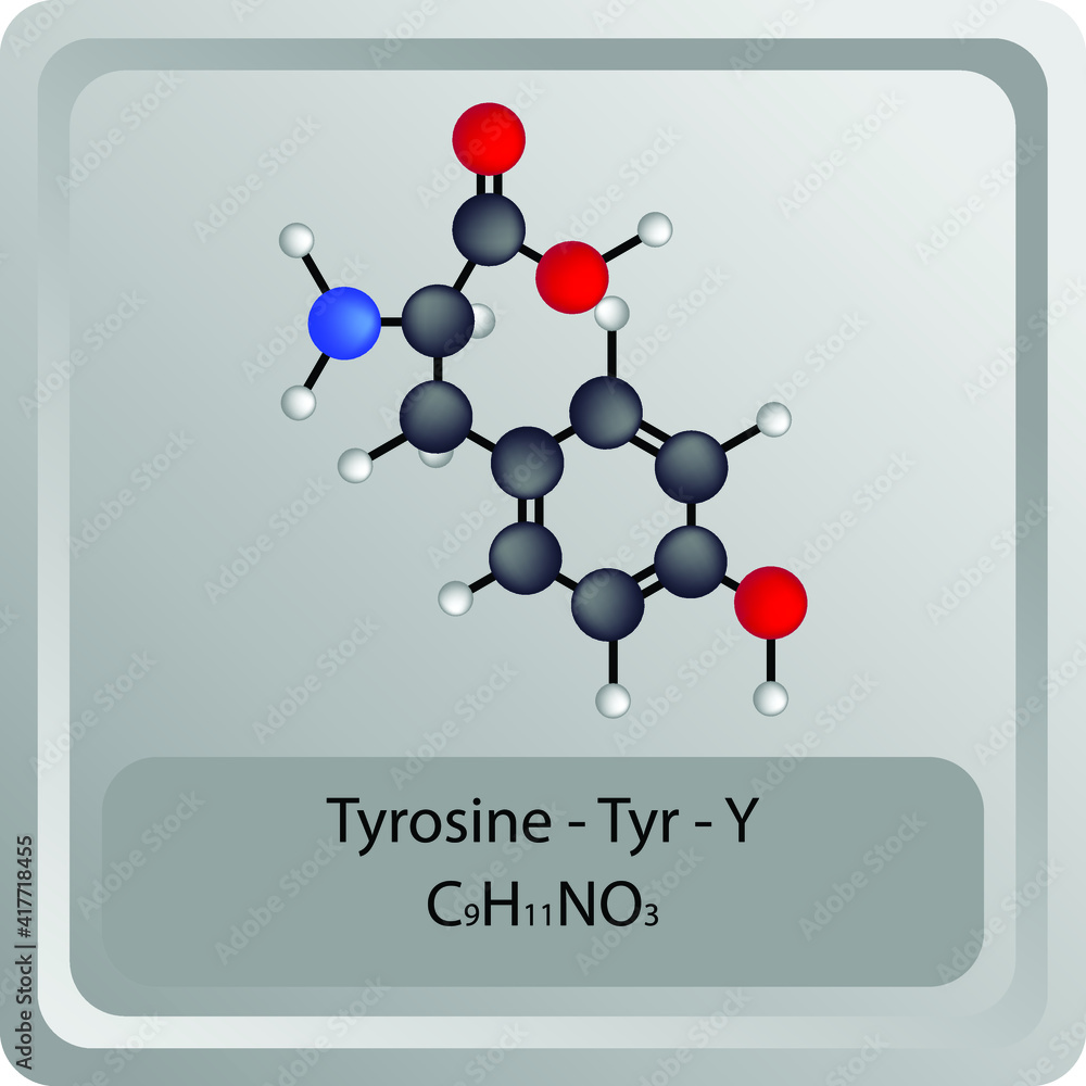 Tyrosine - Tyr - Y - Amino Acid chemical structure. Molecular formula ...
