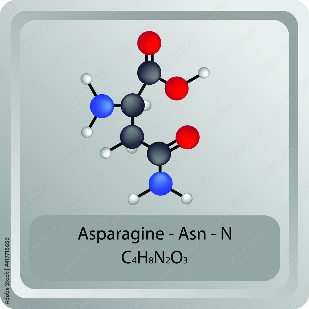 Asparagine - Asn - N - Amino Acid chemical structure. Molecular formula ...