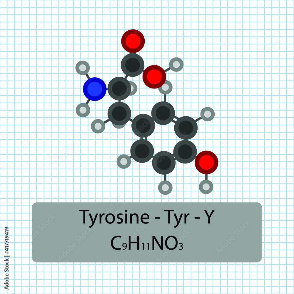 Tyrosine - Tyr - Y - Amino Acid molecular formula and chemical ...