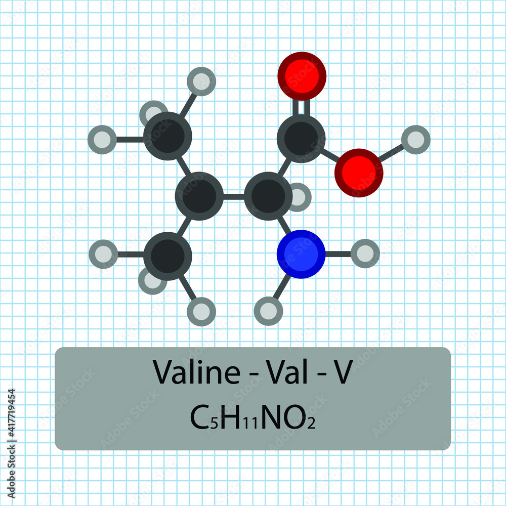 Valine - Val - V - Amino Acid molecular formula and chemical structure ...
