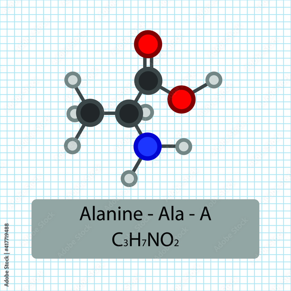 Alanine - Ala - A - Amino Acid molecular formula and chemical structure ...