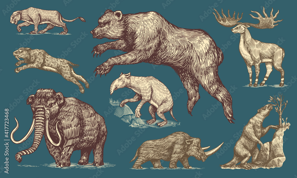 Mammoth or extinct elephant, Woolly rhinoceros Cave bear lion. Panthera ...