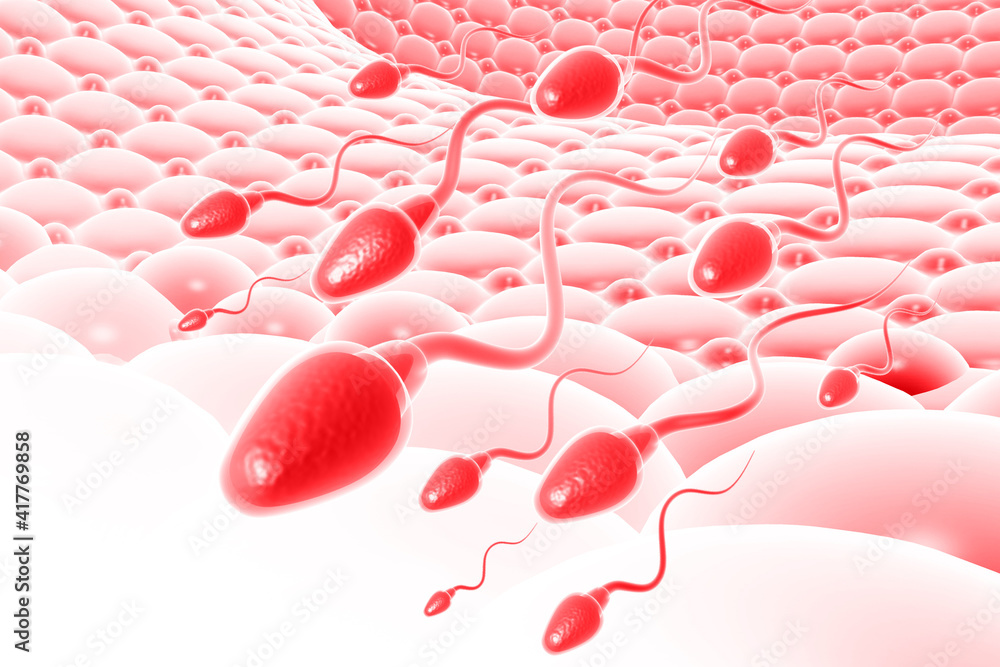 Human sperm cells moving.3d illustration.. Stock Illustration | Adobe Stock