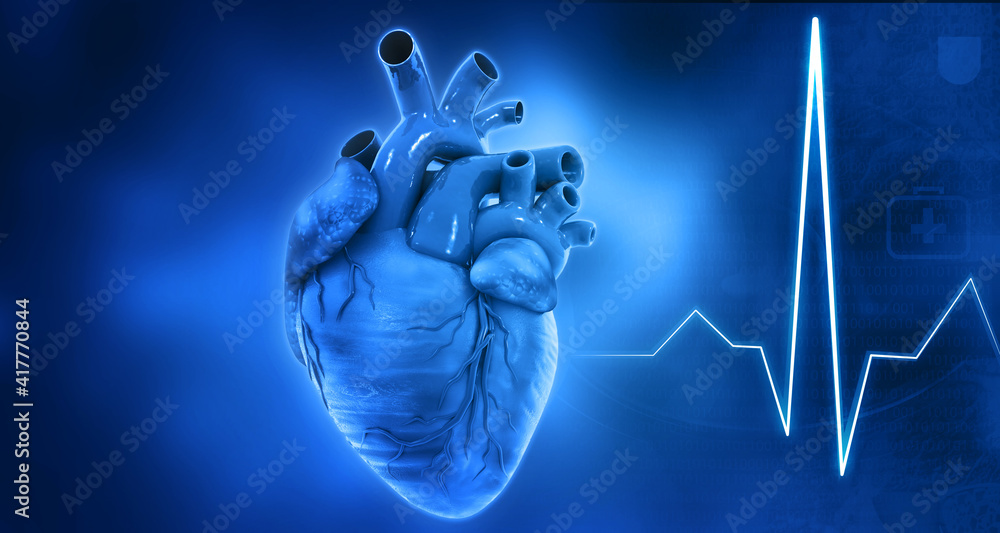 Human heart anatomy on blue background. 3d illustration. Stock ...