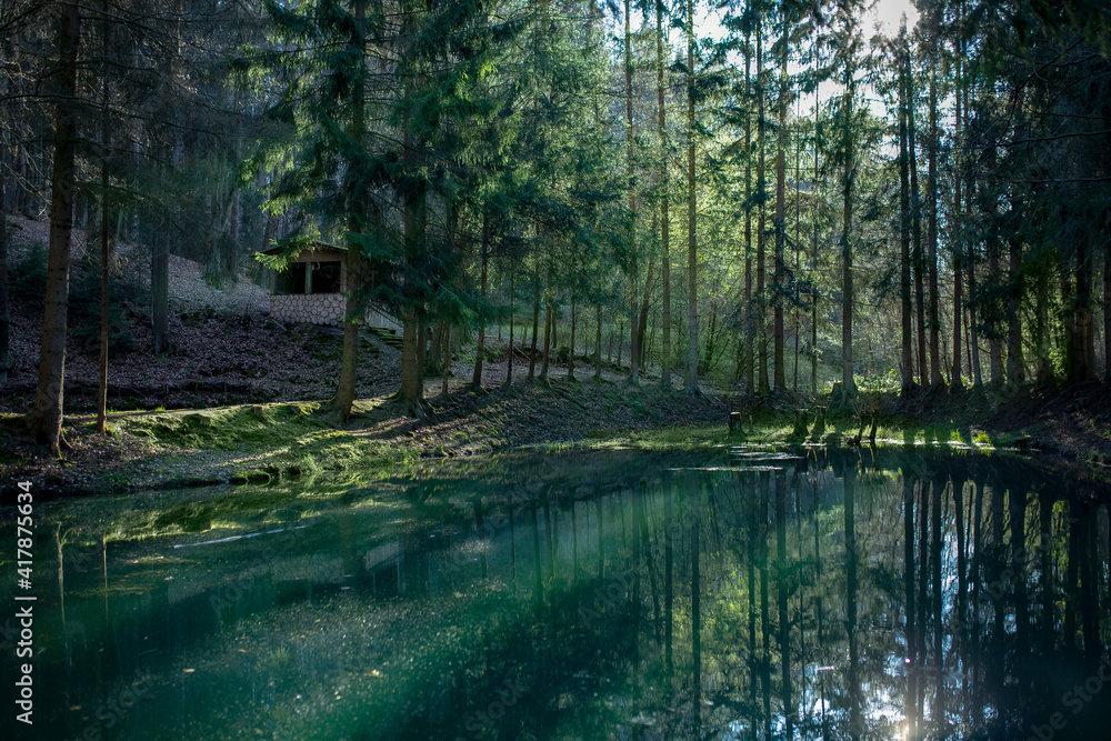 Licht am Waldsee als hintergrund, postkarte, rahmen, banner ...