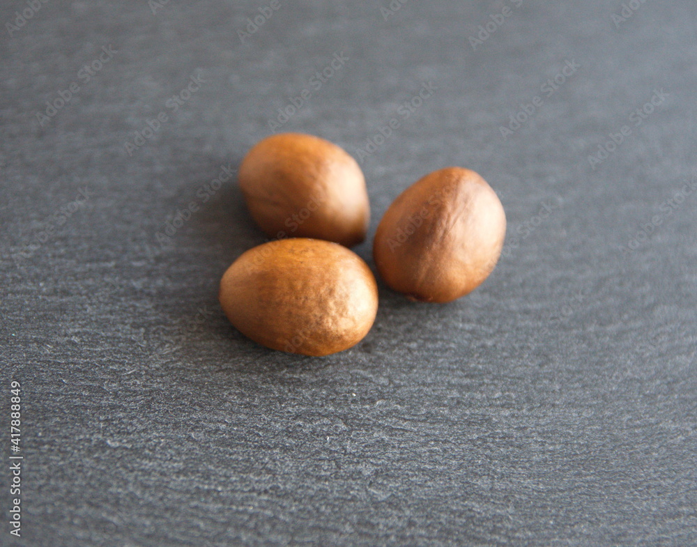 Seeds of Nispero, loquat, Japanese plum — Eriobotrya japonica ...