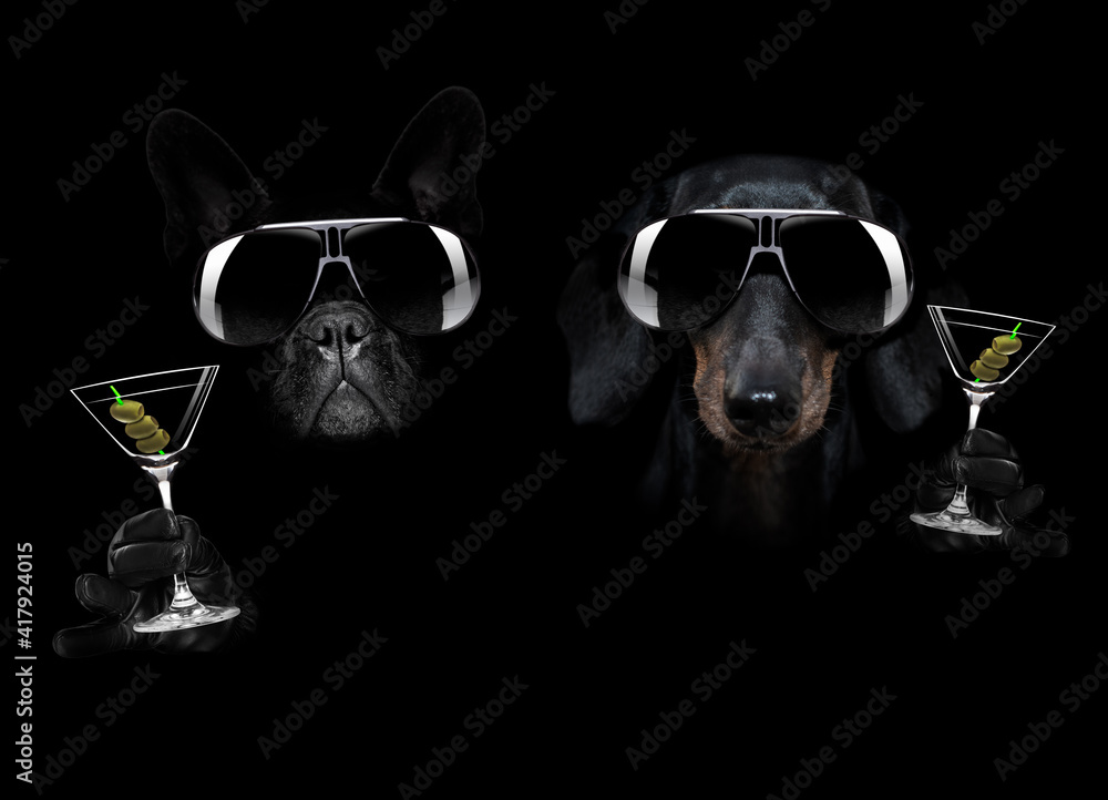 martini cocktail dog in dark black mood Stock Photo | Adobe Stock
