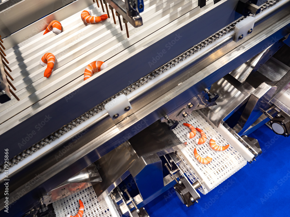 Production line for the processing of seafood. Production of fish semi ...