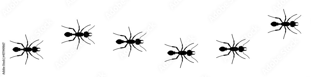 Art & IllustrationLine of worker ants marching in search. Silhouette ...