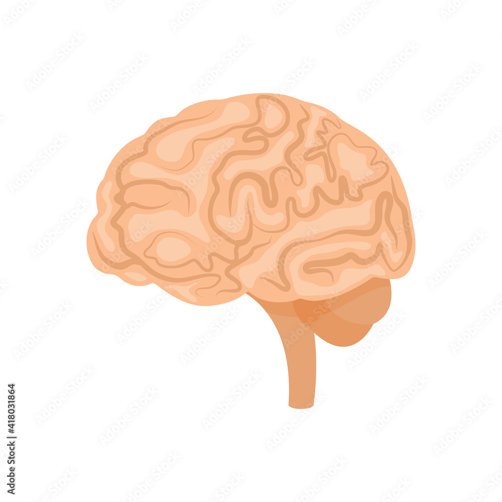 Brain or mind side view line art color vector icon for medical apps and ...