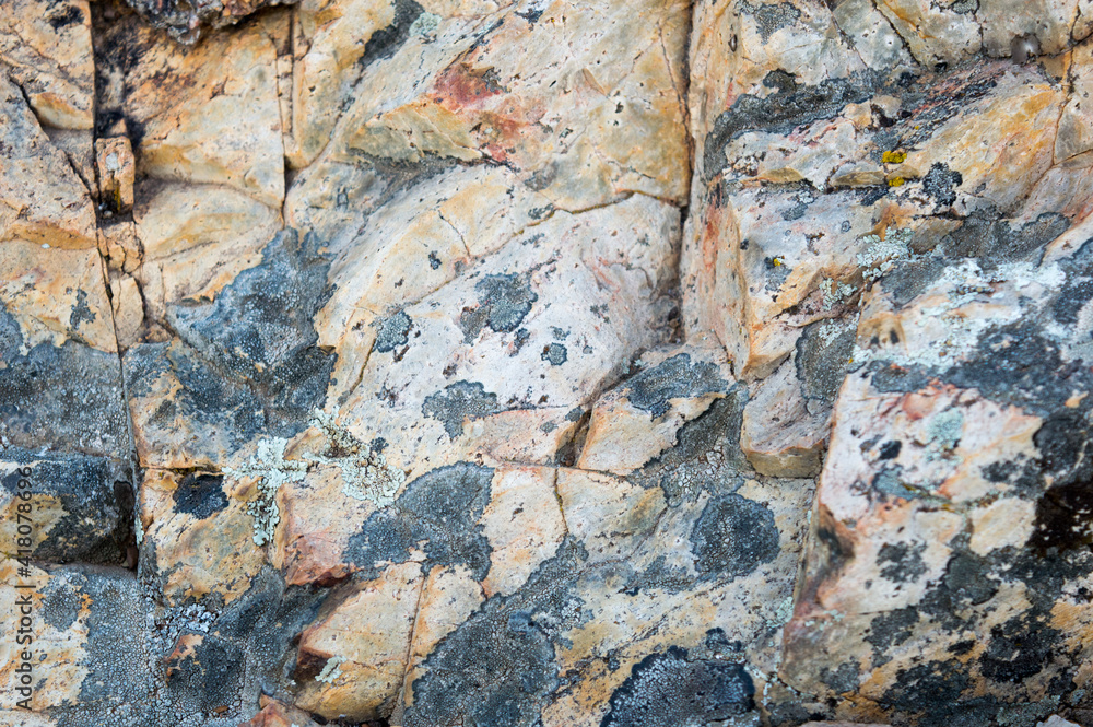 textura de piedra Stock Photo | Adobe Stock