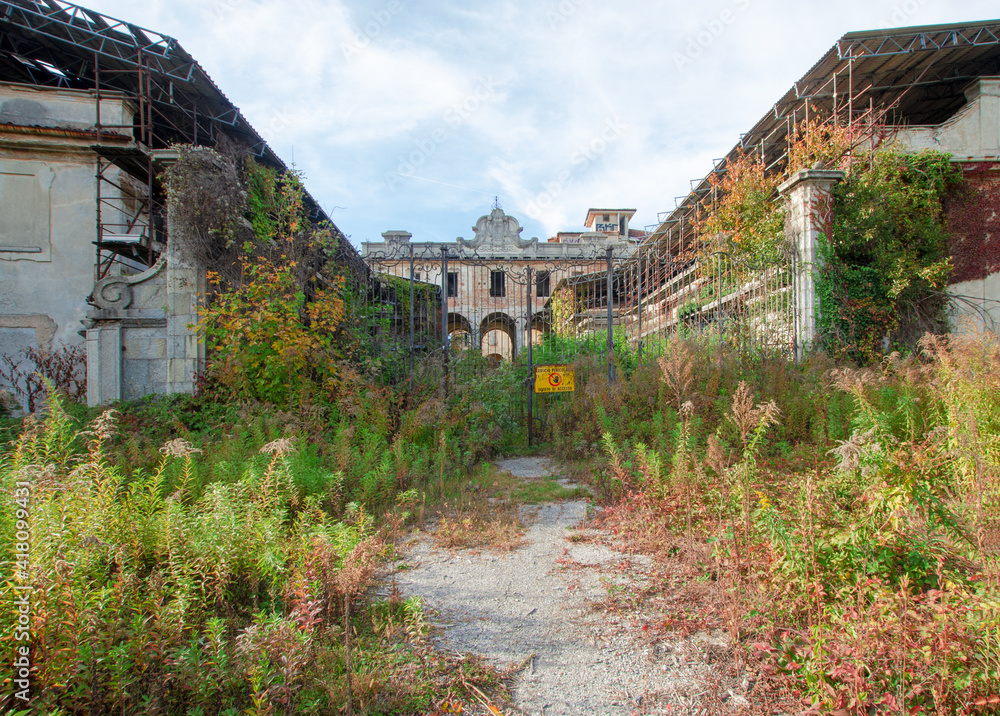 driveway in old abandoned factory overgrown with weeds foto de Stock ...