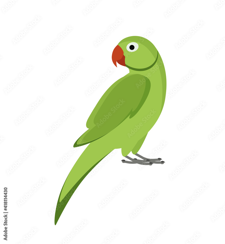 Green indian parrot Stock Vector | Adobe Stock